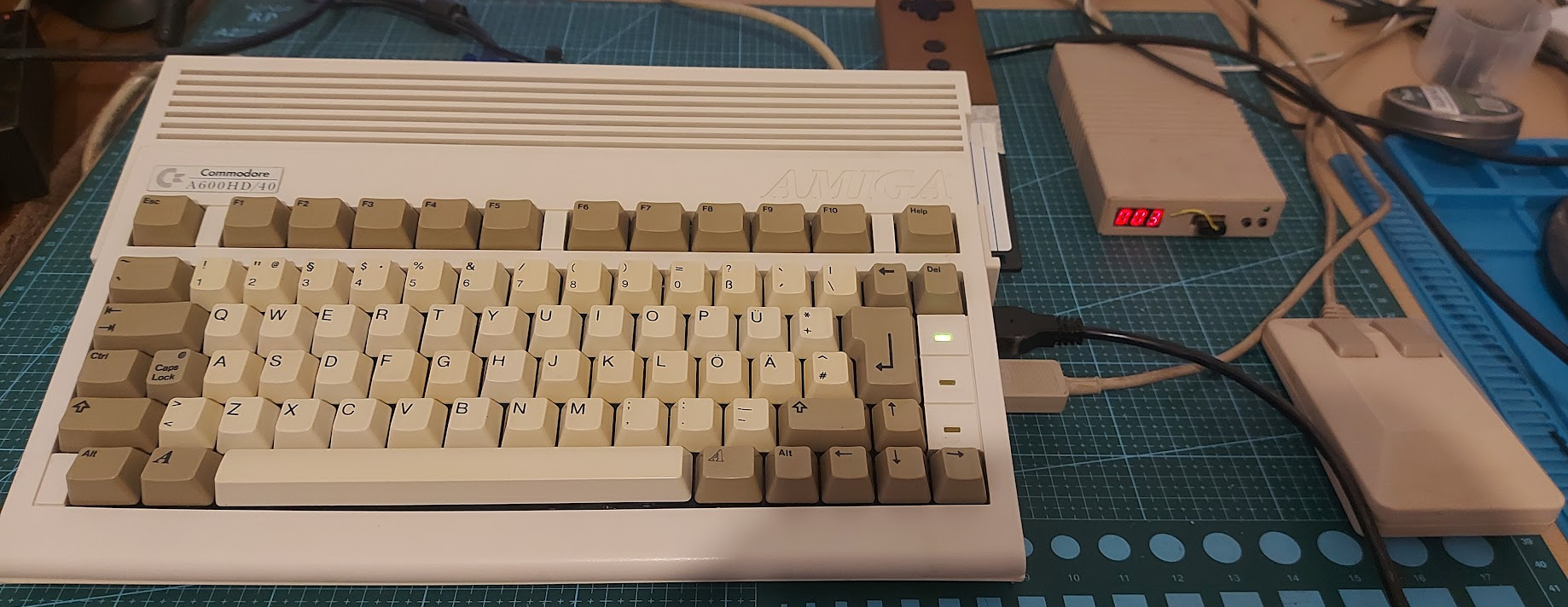El camino de la Amiga 600 – Blog